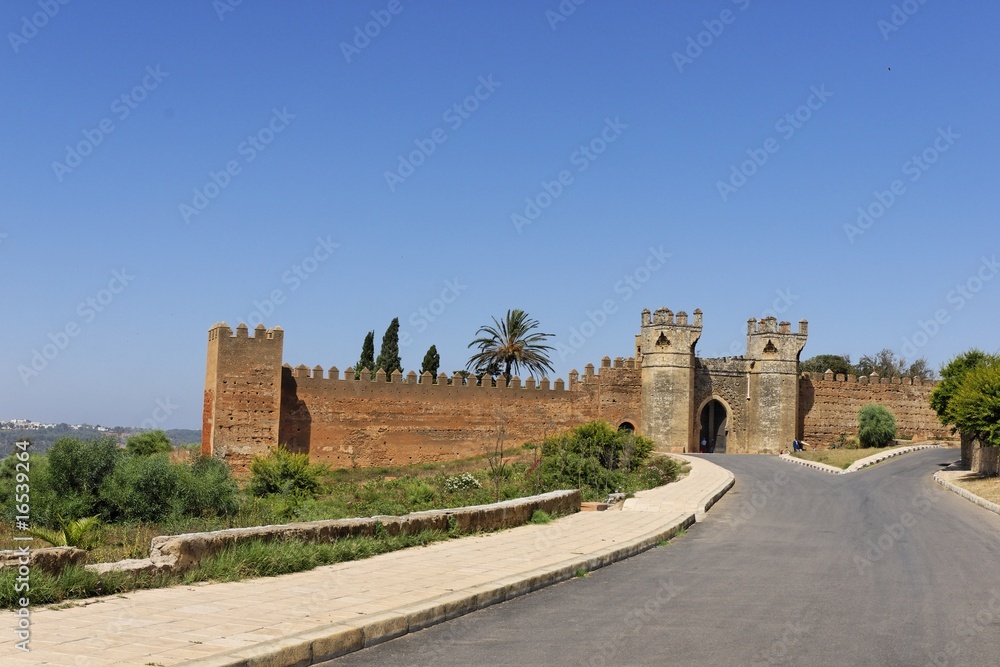 Chellah, un monument historique à Rabat, Maroc Photos | Adobe Stock