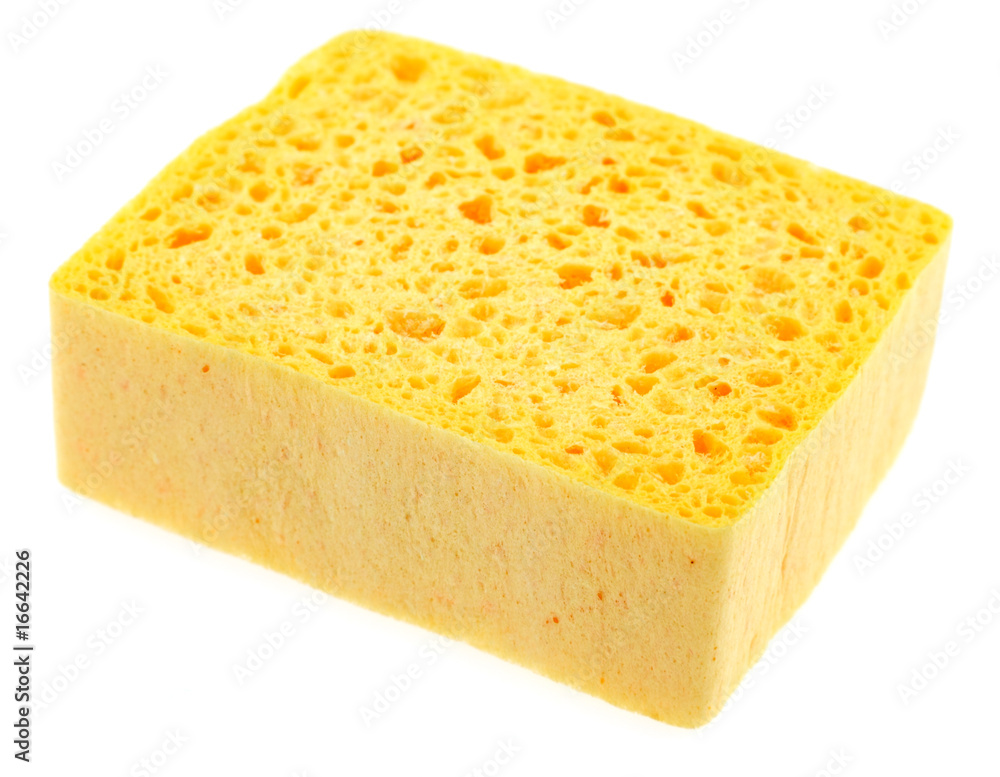 éponge Stock Photo | Adobe Stock