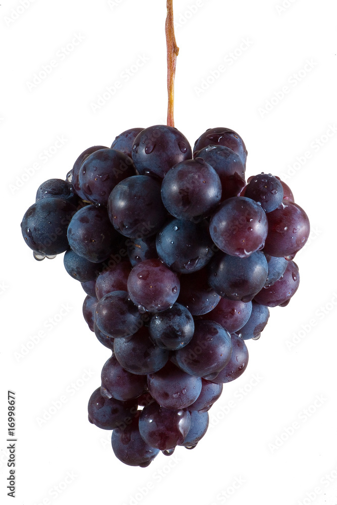 Grappe de raisin Stock Photo | Adobe Stock