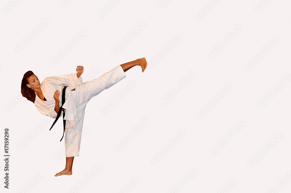 Karate left leg kick Stock Photo | Adobe Stock