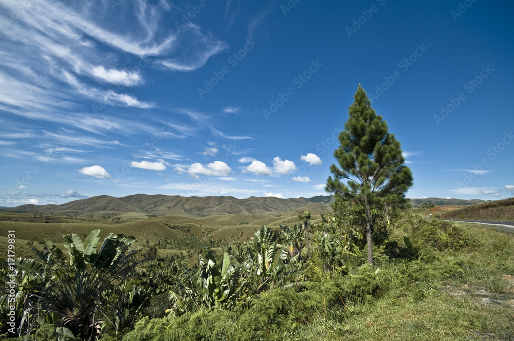 Paysage de Madagascar Stock Photo | Adobe Stock