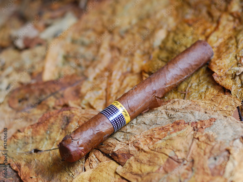 sigar фотография Stock | Adobe Stock