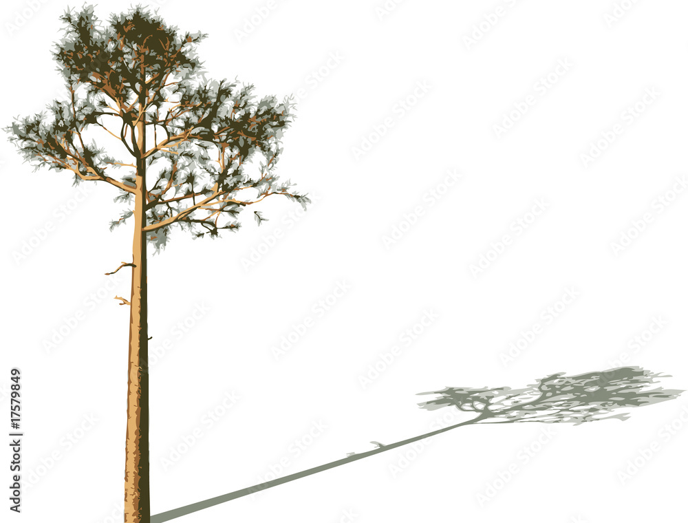 Silhouette tree with shadow. Stock Vector | Adobe Stock