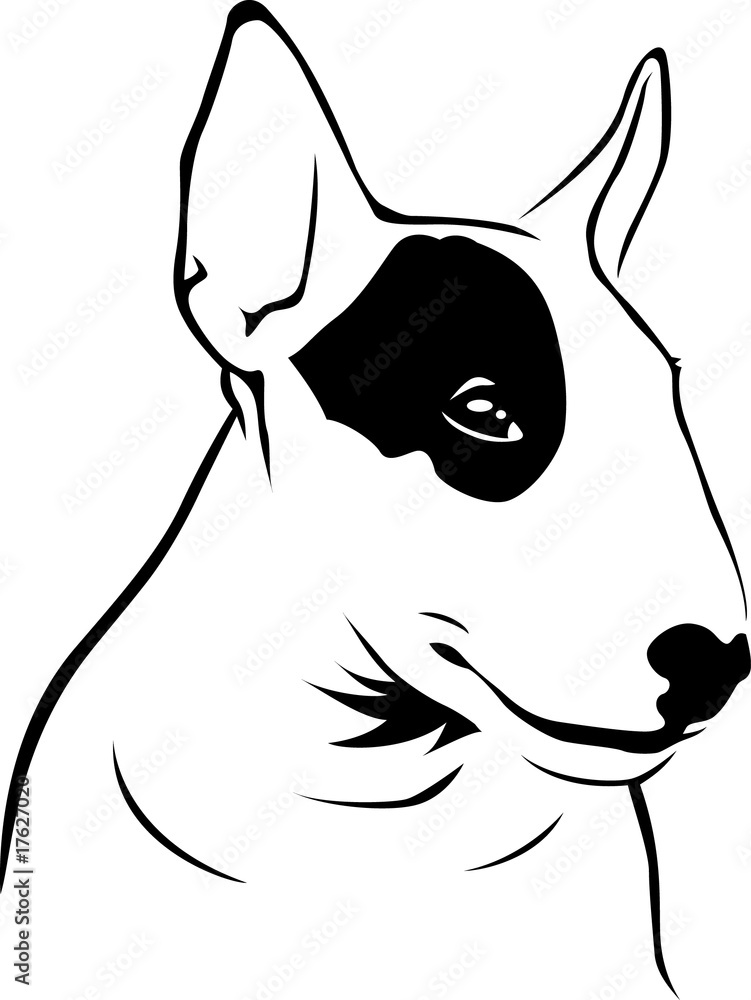 Bull Terrier vector de Stock | Adobe Stock