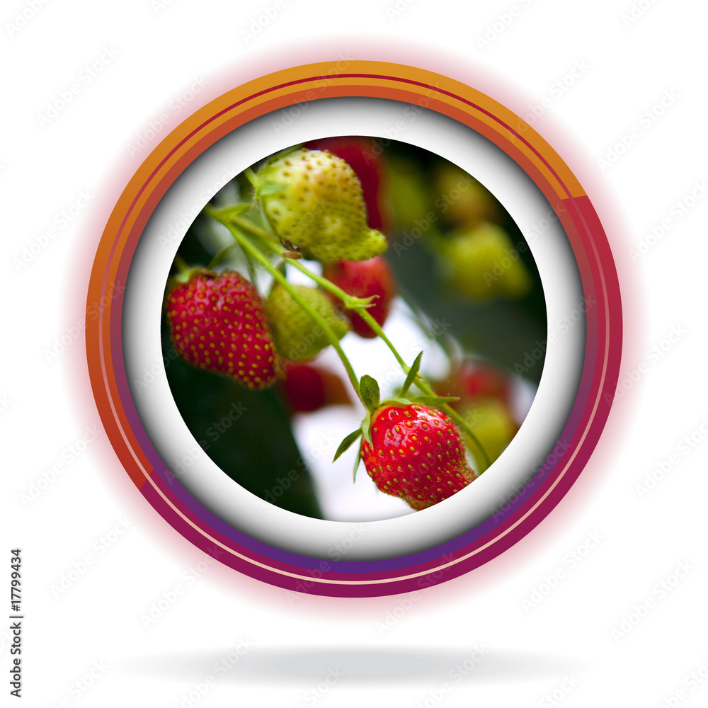 Picto fraise Stock Illustration | Adobe Stock