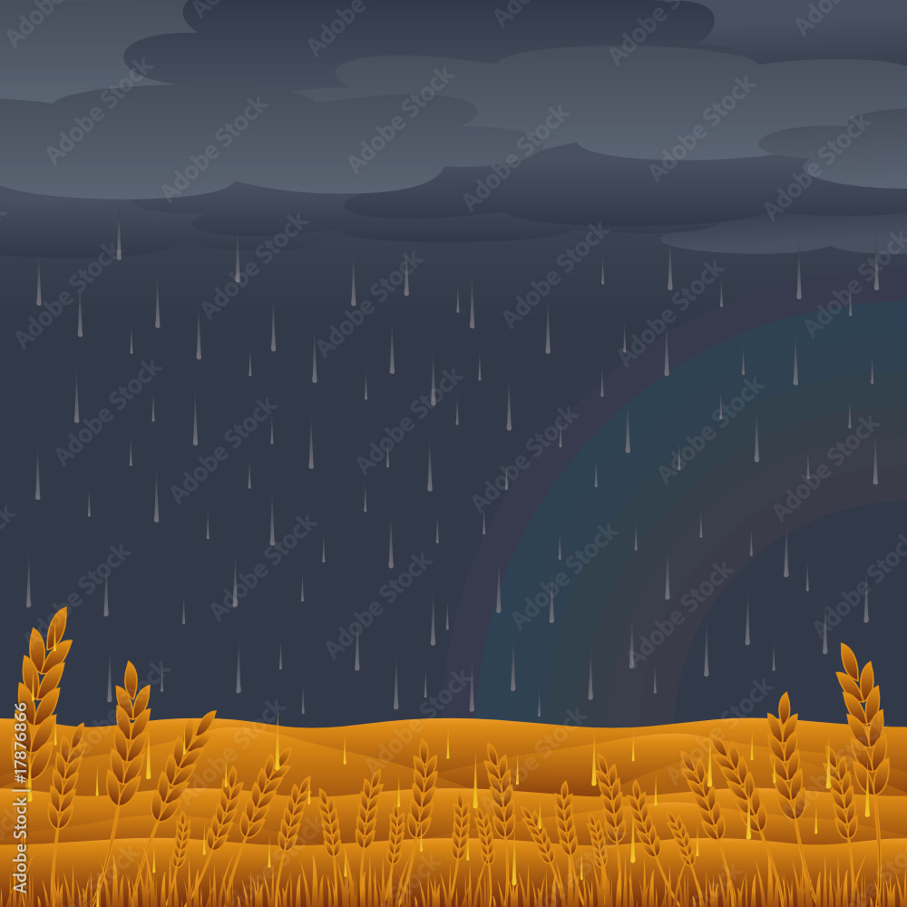 Rain Storm over Wheat Field. Stock Vector | Adobe Stock