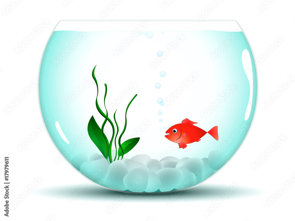 Poisson rouge dans son aquarium Illustration Stock | Adobe Stock