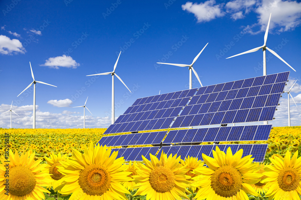 Wind turbines and solar panels on sunflowers field Stock Photo | Adobe ...