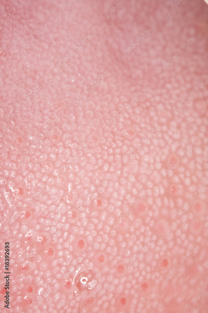 Tongue texture Stock Photo | Adobe Stock