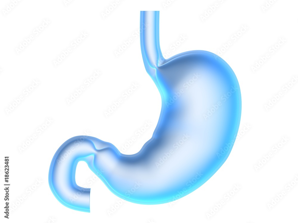 menschlicher Magen Stock Illustration | Adobe Stock