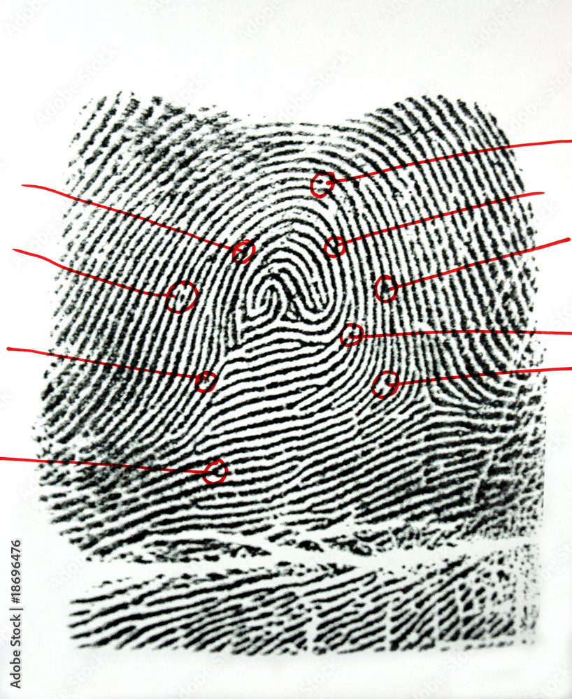 Fingerprint Ridge Characteristics