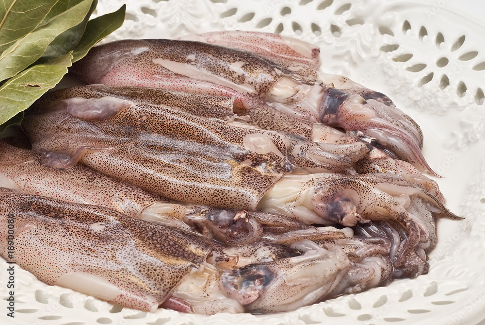 Chipirones frescos. foto de Stock | Adobe Stock