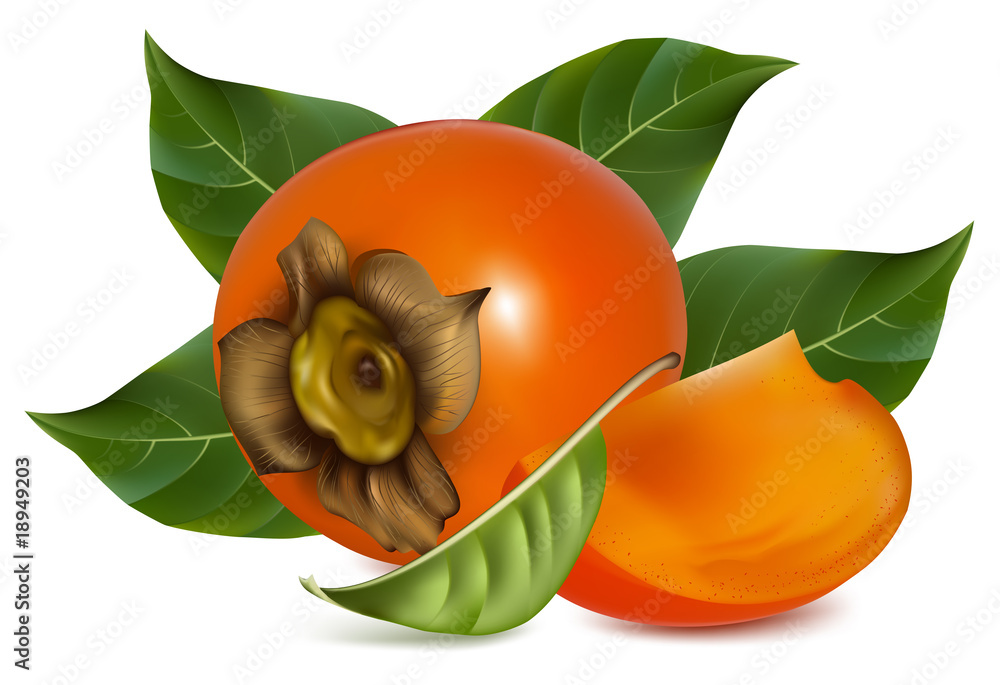 Photorealistic vector illustration. Persimmons with leaves. Stock ...