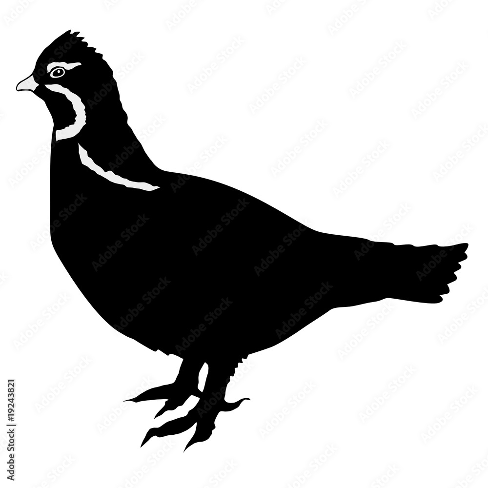 silhouette of grouse Stock Vector | Adobe Stock