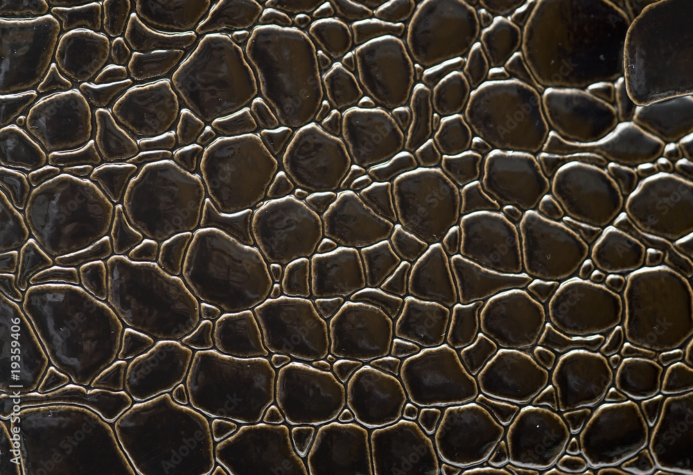Textura de piel de reptil en color oscuro. Stock Photo | Adobe Stock