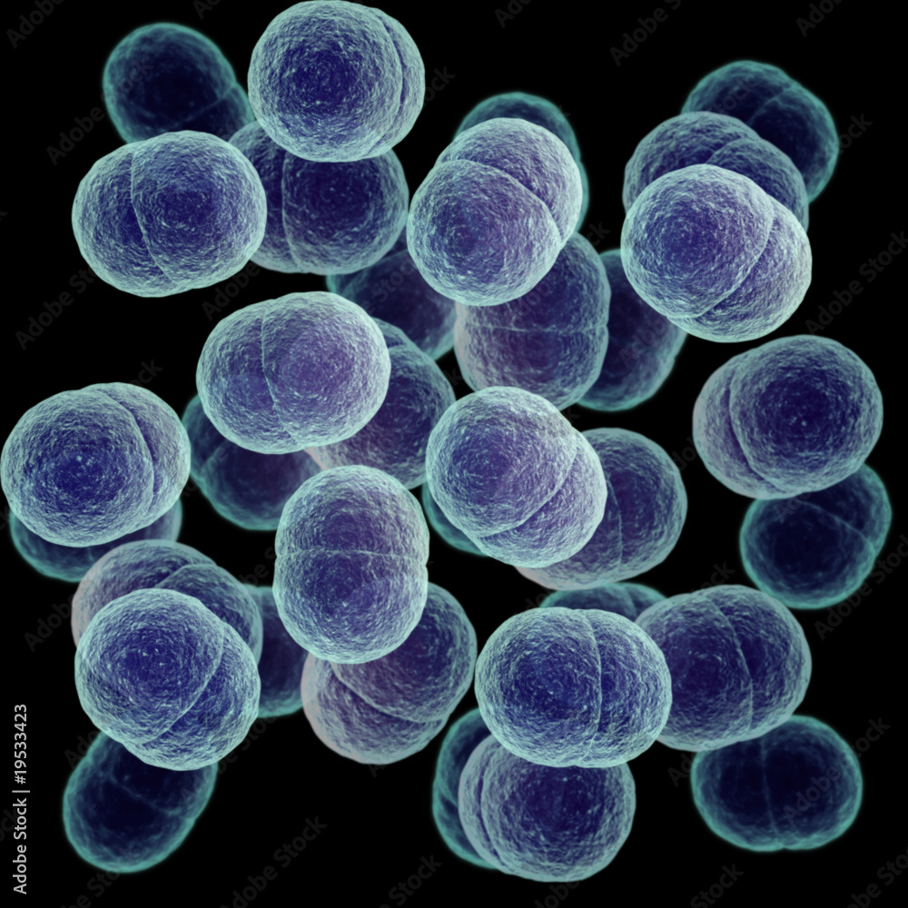 Staphylococcus aureus ilustración de Stock | Adobe Stock
