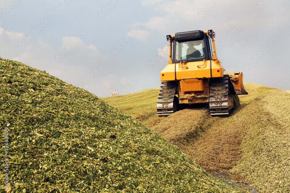 preparing corn silage for a biogas plant 04 Stock Photo | Adobe Stock