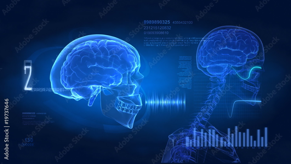 Brain concept - science medical display in loop with data Stock Video ...