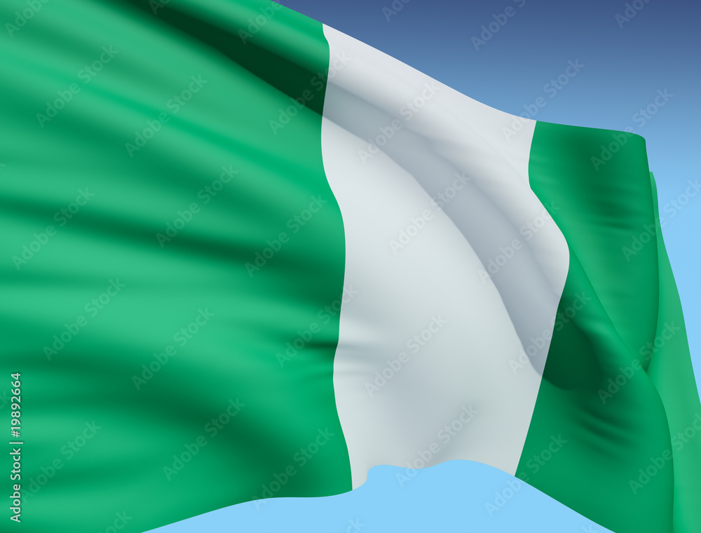 Flag Of Nigeria Stock Illustration | Adobe Stock