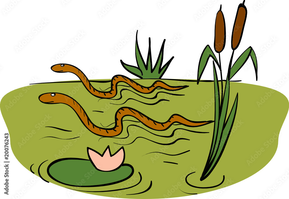 swamp Stock Vector | Adobe Stock