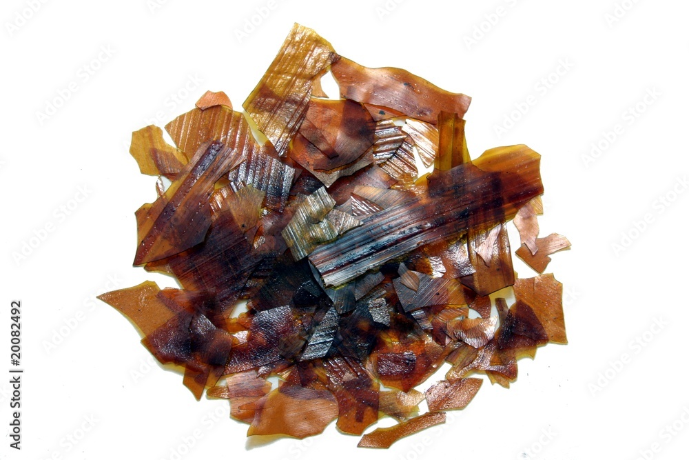 Gomme laque Stock Photo | Adobe Stock