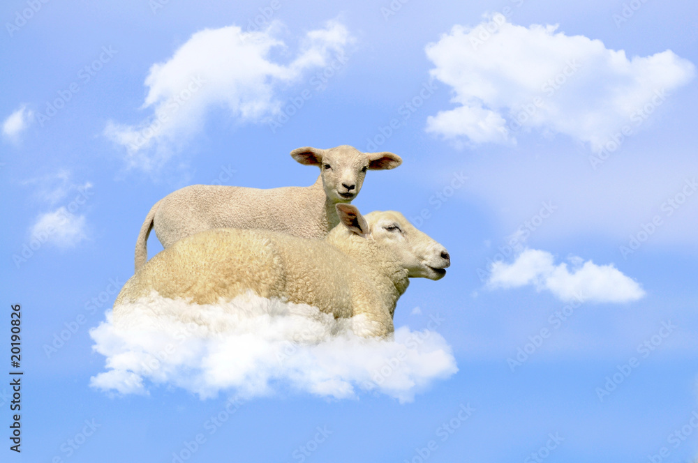 Schäfchen Wolken Stock-Foto | Adobe Stock