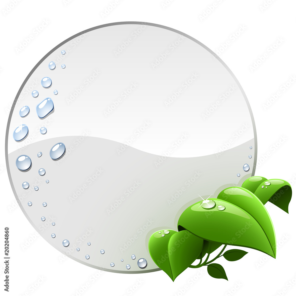 Blank round label with green leaves isolated on white. Stock Vector ...