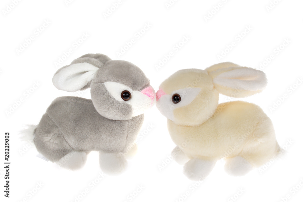 two bunnies Stock Photo | Adobe Stock