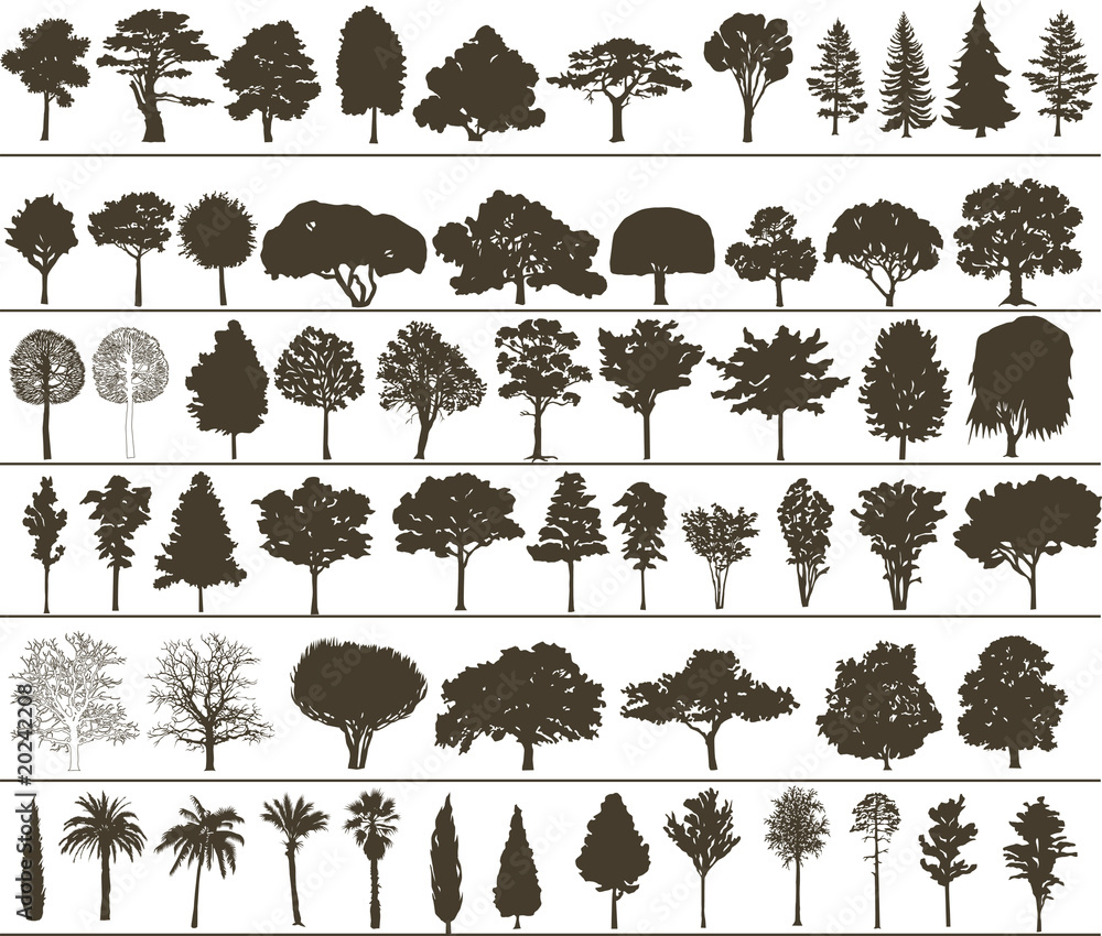 vector trees Stock Vector | Adobe Stock