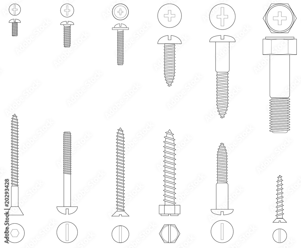 Screws Stock Vector | Adobe Stock