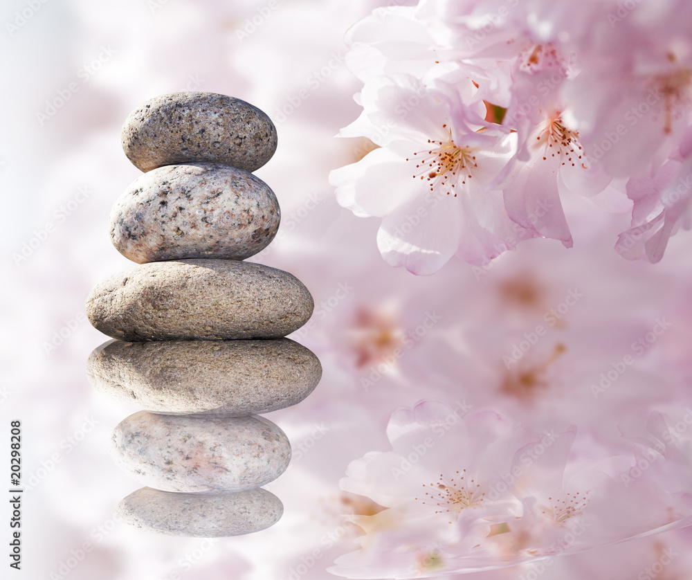 Zen wall mural wallpaper | Muraledesign.com