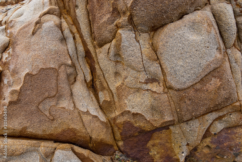 Sedimentary rock at point reyes, California Stock Photo | Adobe Stock