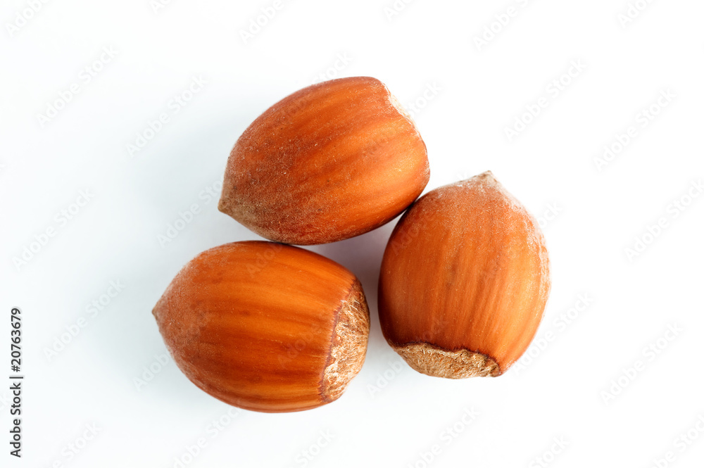 noisettes Stock Photo | Adobe Stock