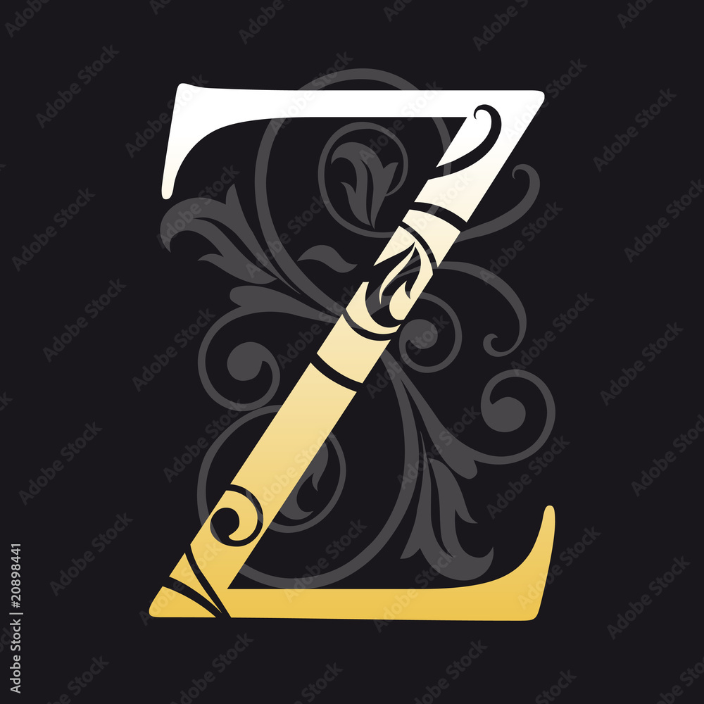 letra z Stock Vector | Adobe Stock