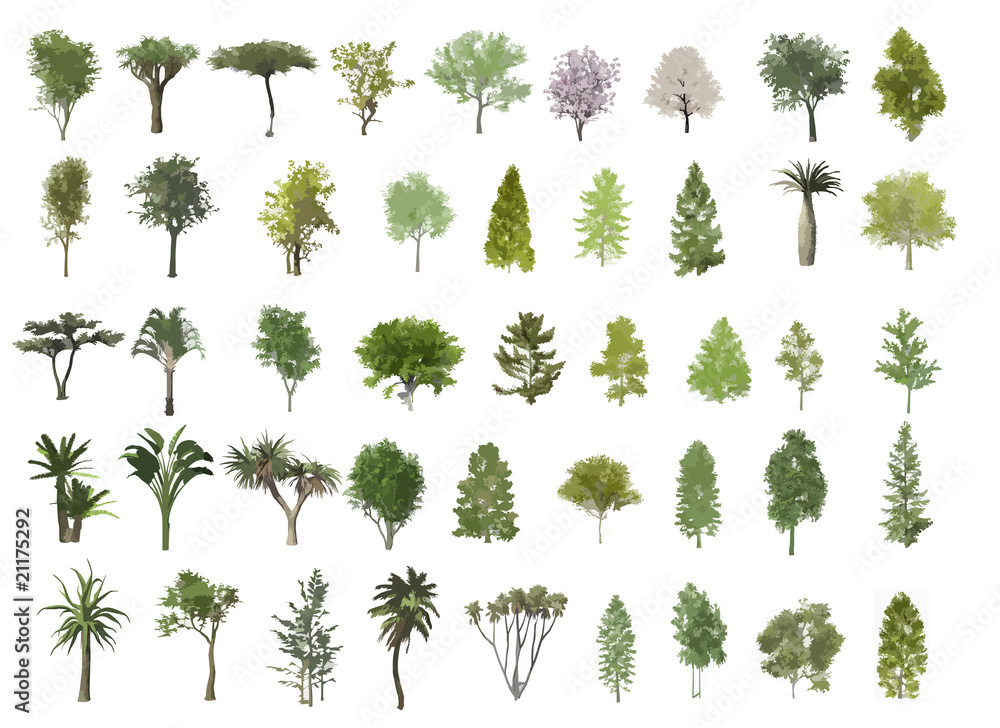 arboles en vector Stock Vector | Adobe Stock