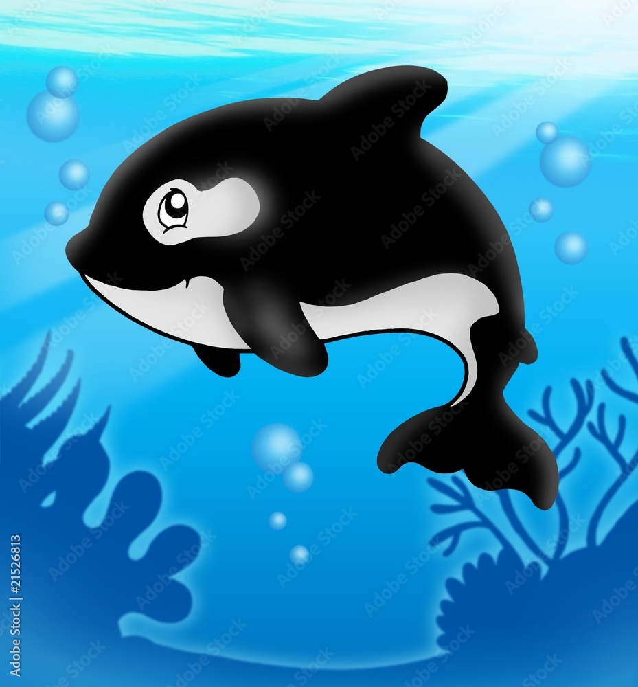 Cartoon killer whale in sea Stock Illustration | Adobe Stock