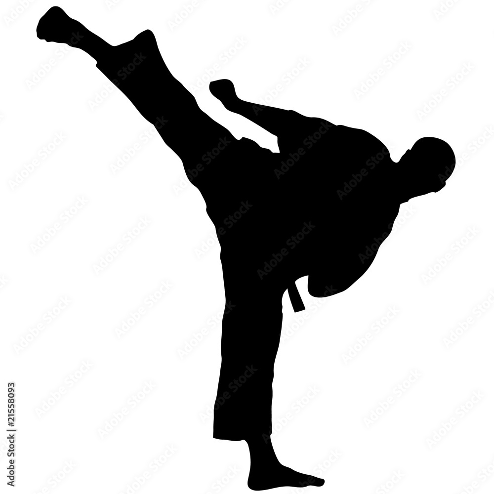 MARTIAL ARTS high kick.Vector. vector de Stock | Adobe Stock
