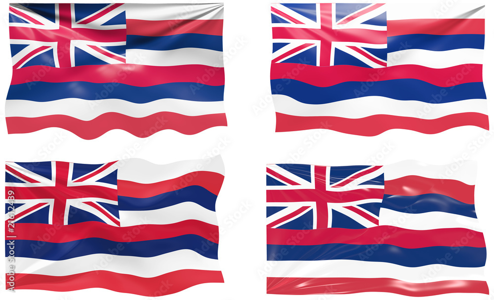 Flag of Hawaii Stock Vector | Adobe Stock