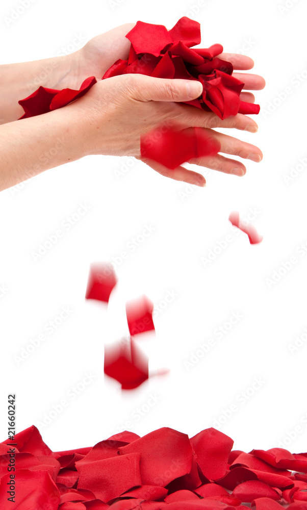 Red rose petals falling off woman's hands Stock Photo | Adobe Stock