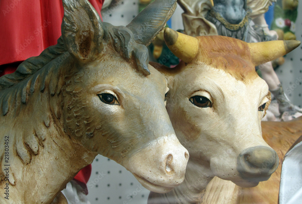 Foto Stock Il bue e l'asinello | Adobe Stock