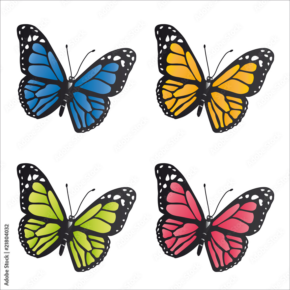 4 Papillons Stock Vector | Adobe Stock