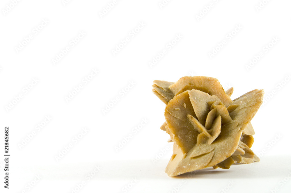 Sandrose Stock-Foto | Adobe Stock