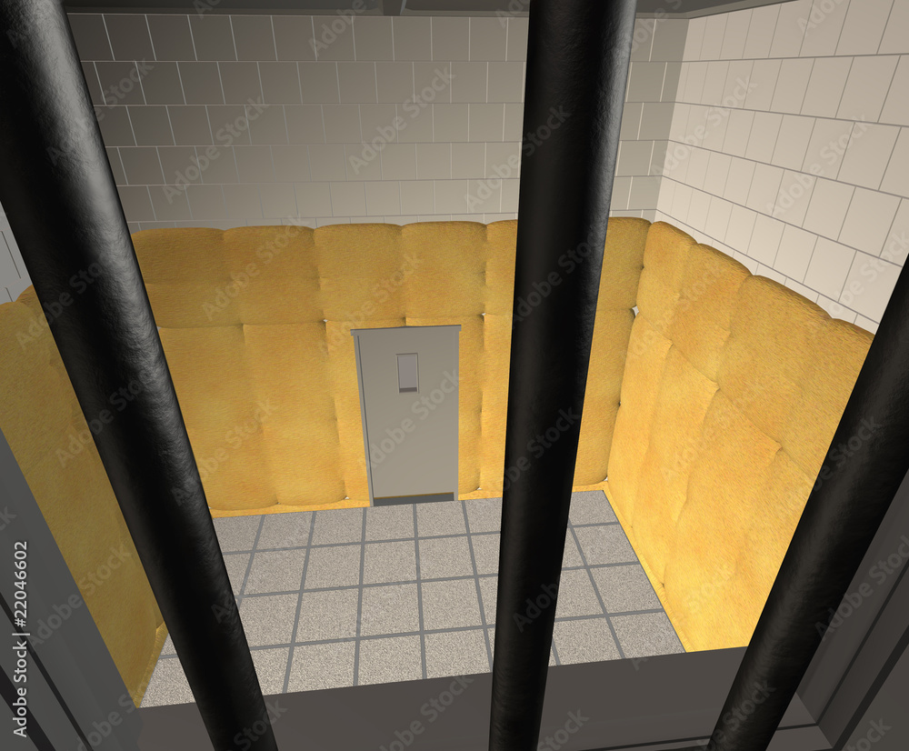 Mental Hospital Cell