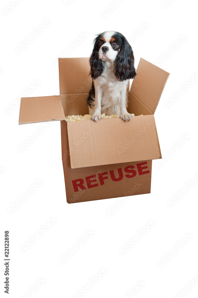 Colis Stock Photo | Adobe Stock