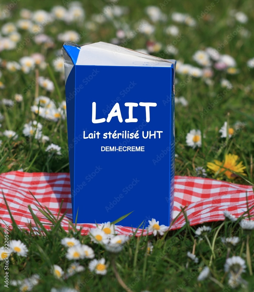 Foto de brique de lait,milk,carton,laitage,laitier do Stock | Adobe Stock