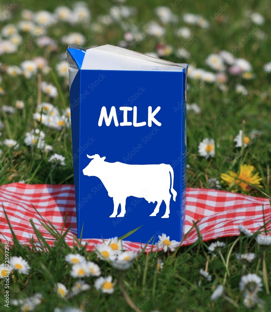 lait, milk, carton, laitage, laitier, vache, brique Stock Photo | Adobe ...