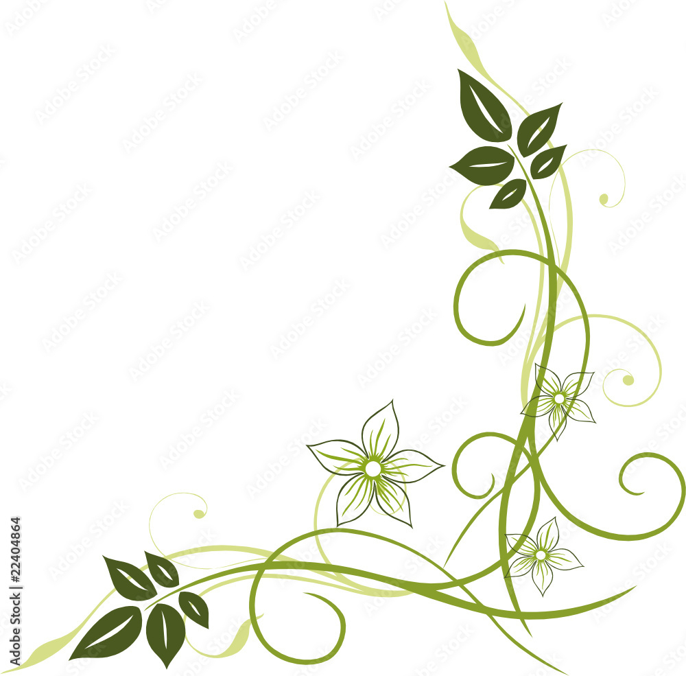 Blumen, Blüten, Ranke, Blätter, floral, filigran, grün Stock Vector ...
