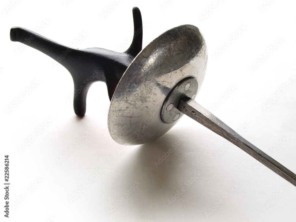 Fencing Left Handed at Rocio Wilds blog