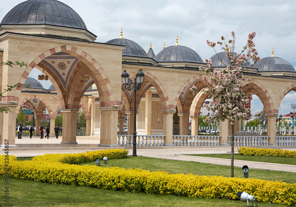 The Akhmad Kadyrov Grozny Central Dome Mosque of Grozny Stock Photo ...