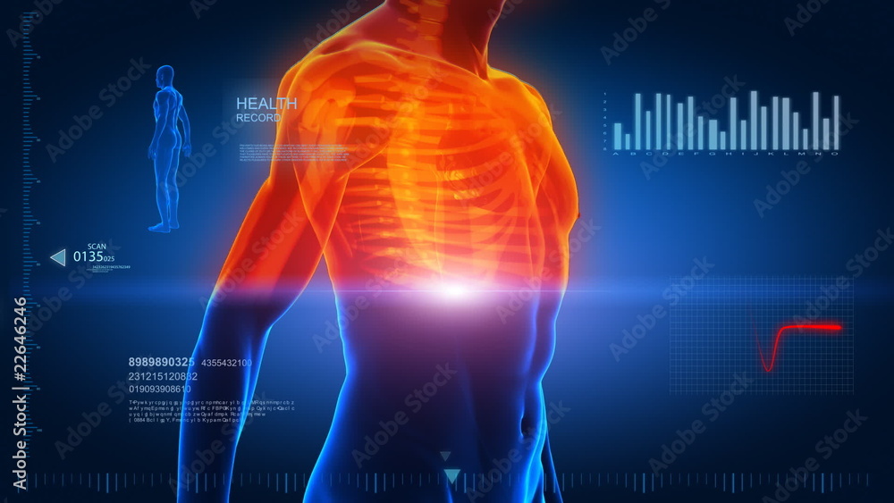 Whole human body xray scan Stock Video | Adobe Stock